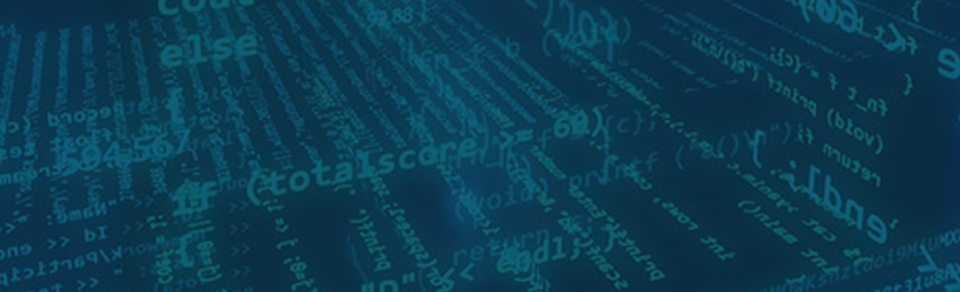 SAP Support Services - Rast Software